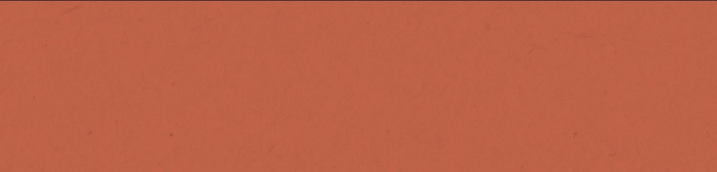 Briques de 20 ISObric® Porotherm | Wienerberger