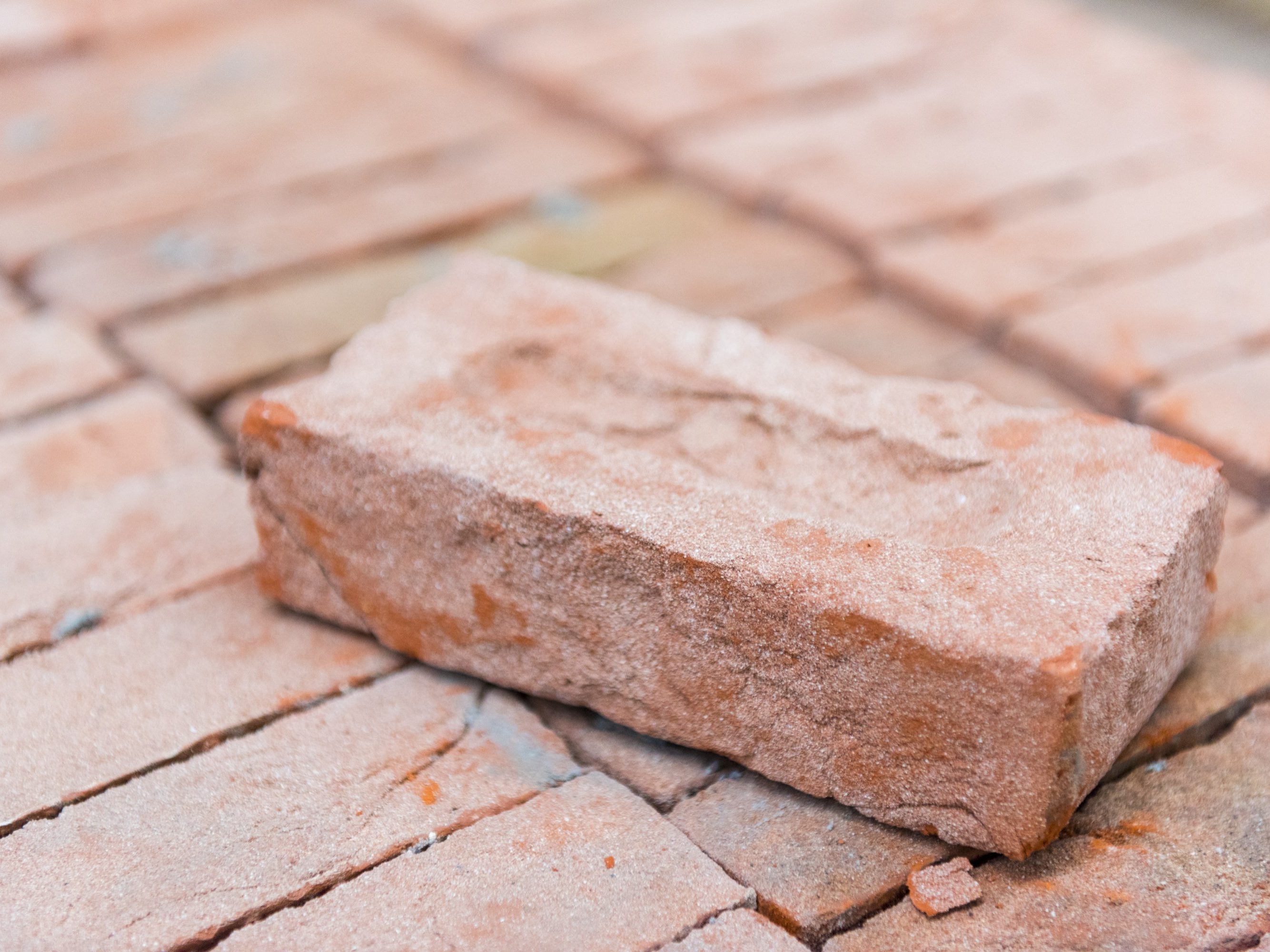Briques en terre cuite Terca | Wienerberger