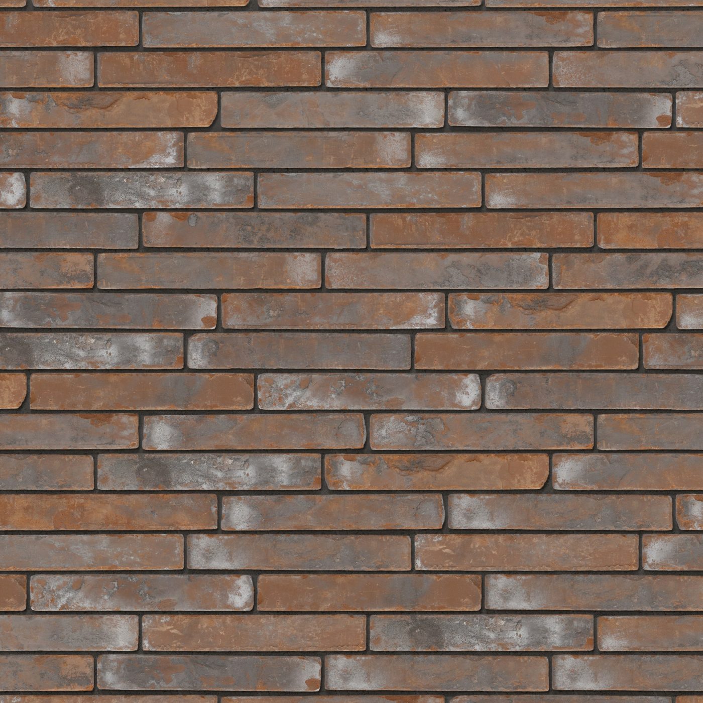 Metropolis Rouge aula