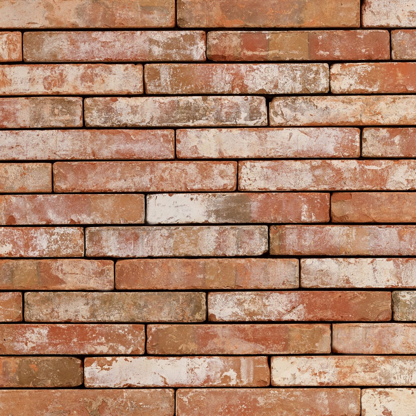 Metropolis Rouge atrium